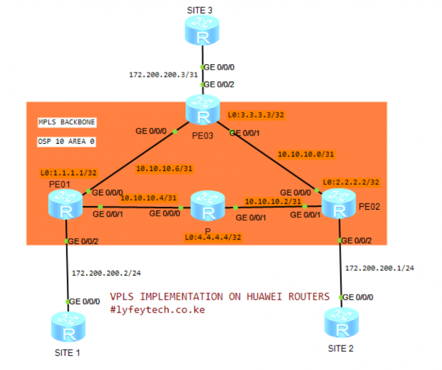 Introduction to VPLS and Lab Simulation on Huawei Routers - Lyfey Technologies